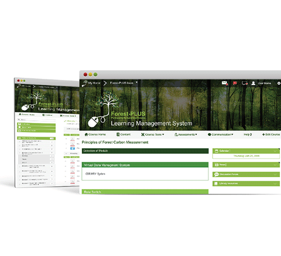 Shaping the Narrative on Why Forests Matter to India | Vertiver