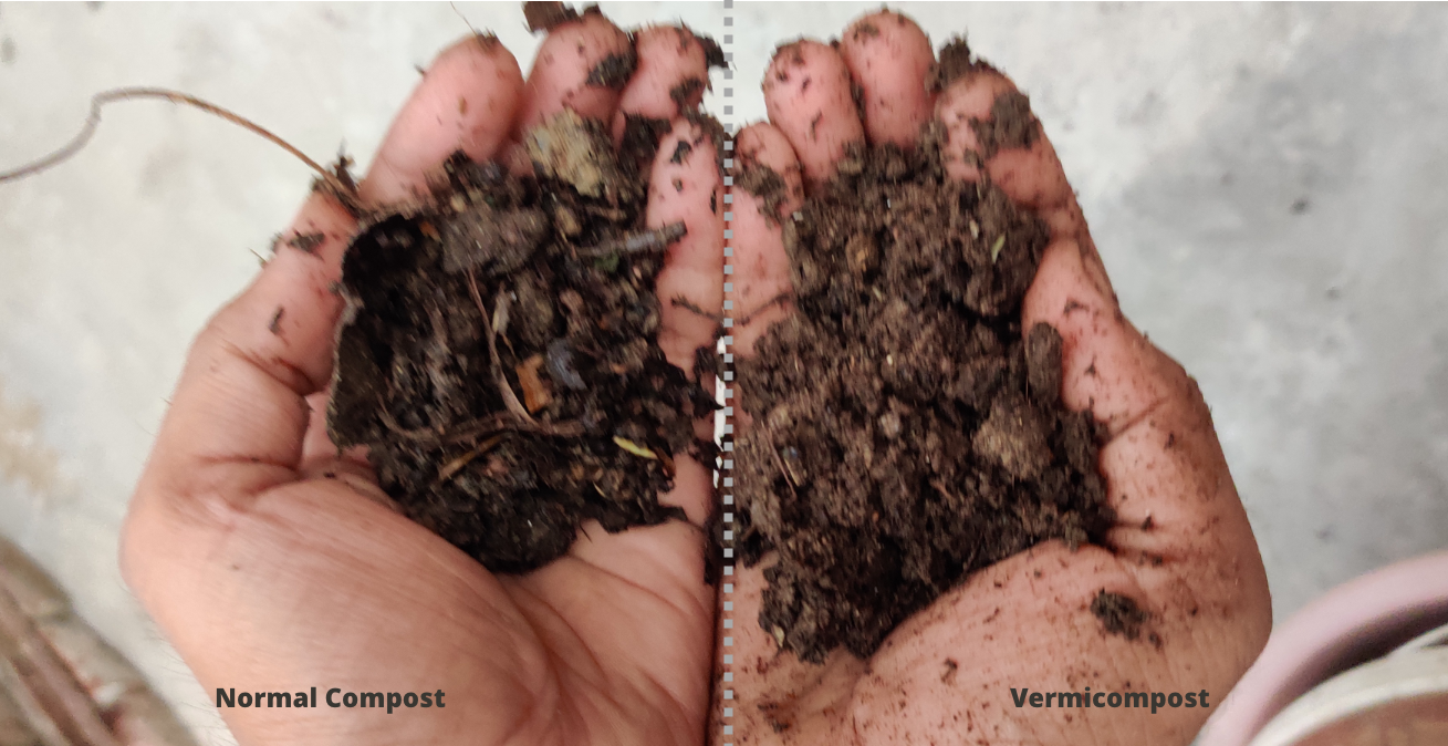 Shahdara Resident Pradeep Panchal is a Composting Hero in East Delhi ...