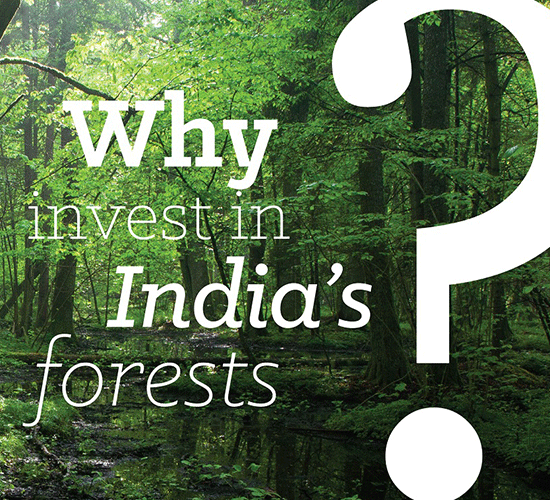 Vertiver is a design consultancy for conservation and climate action ...